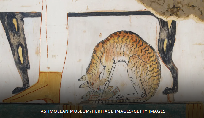 How Cats Became Divine Symbols in Ancient Egypt